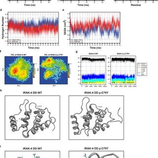 Molecular dynamics (MD) simulations and analysis of MD trajectories.... | Download Scientific ...