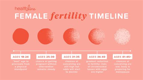 Fertility & Early Pregnancy Ultrasound Scans - Fertility and Early ...