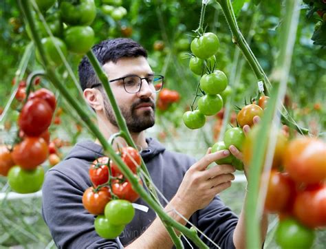 Qs Qs Residue Monitoring For Fresh Fruit Vegetables And Potatoes
