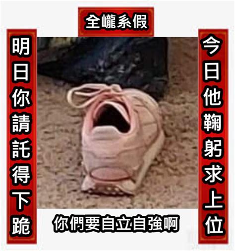 想跪就選塔綠班