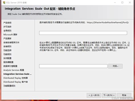 Sql Server 2019安装polybase可以不安装吗 Csdn博客