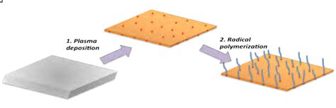1 Schematic Representation Of The Grafting Strategy Download Scientific Diagram