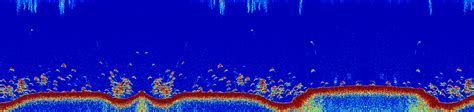 Chirp Sonar Technology Garmin Philippines