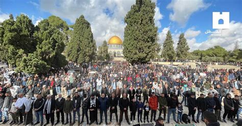 بالصور عشرات الآلاف يؤدون صلاة الجمعة اليوم بالمسجد الأقصى وكالة سوا