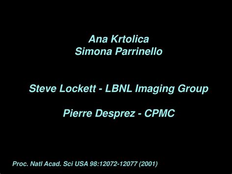 Ppt Aging And Cancer The Double Edged Sword Of Cellular Senescence