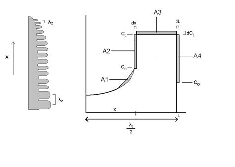 Dimensional Form Of Microsegregation Volume Element From The Centre Of