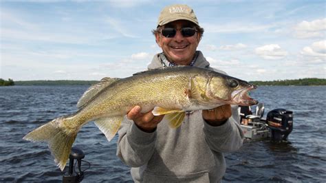Walleye Secret Revealed Where To Find Late Fall Fish On Big Water
