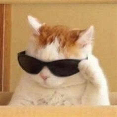 Stream BOTA A MÃO NO CHÃO MC Fopi Love Funk DJ Felipe Cardoso MP3