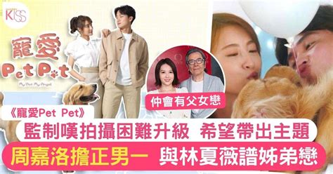 寵愛Pet Pet大結局劇情TVB線上看1 20集全劇透 冬甩牽線周嘉洛林夏薇