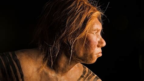 Til That In Addition To Neanderthals Another Ancient Lineage The