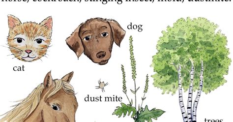 Thriving With Allergies Rush Immunotherapy Environmental Allergens