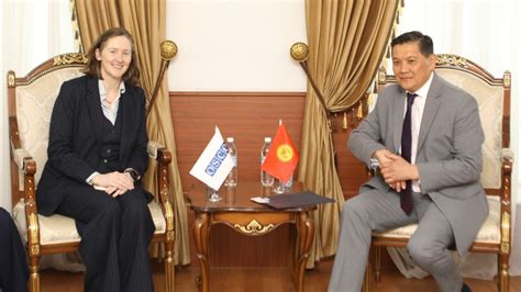 В МИД состоялась встреча с делегацией ОБСЕ Новости из Кыргызстана АКИpress