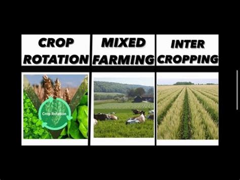 Crop Rotation Inter Cropping Mixed Farming Indian Agriculture Classes With Samraat Sir
