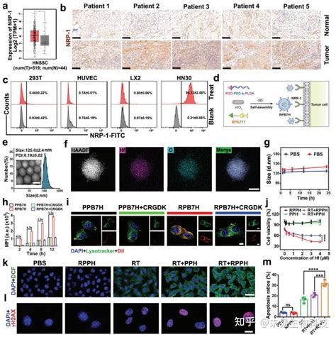 用于癌症放射治疗的protac纳米增敏剂 知乎