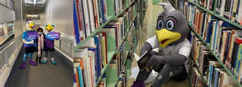 Easy Exams With Eagi Nwu Library And Information Service News