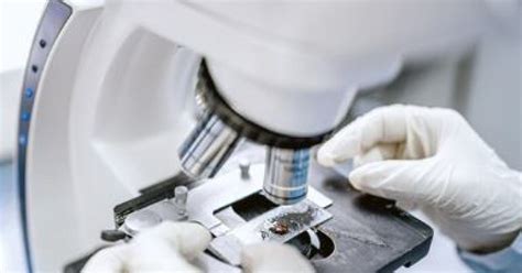 메디포스트 효능높은 간엽줄기세포 배양법 캐나다 특허 취득