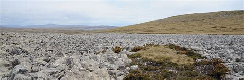 Stone Runs Geography Falkland Islands
