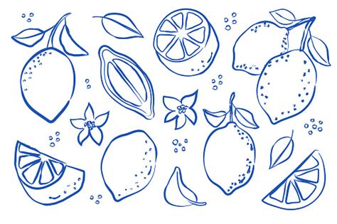 매력적인 손으로 그린 레몬과 유쾌한 감귤류 과일은 영감을 주기에 완벽합니다 감귤류 과일에 대한 스톡 벡터 아트 및 기타 이미지 감귤류 과일 건강한 생활방식 계절