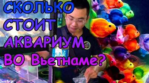 СКОЛЬКО СТОИТ АКВАРИУМ ВО ВЬЕТНАМЕ? СРАВНИЩЕ. РОССИЯ vs Вьетнам # ...