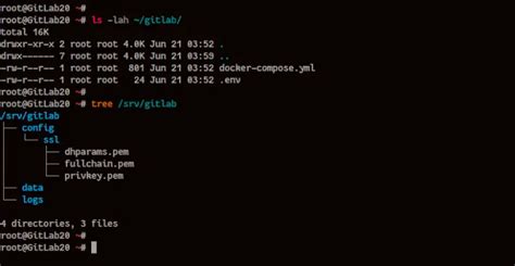 How To Install Gitlab With Docker On Ubuntu 2004 Lts