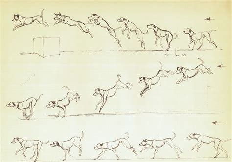 Pin By Maile Broadwell On Drawing References Disney Art Drawings
