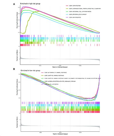 A Enrichment Plots Showing Epidermis Development Blue Epidermal