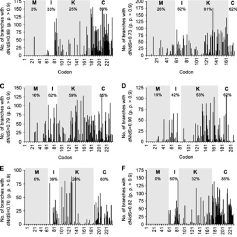 —mapping Of Site Specific Patterns Of Shifting Selective Constraint On