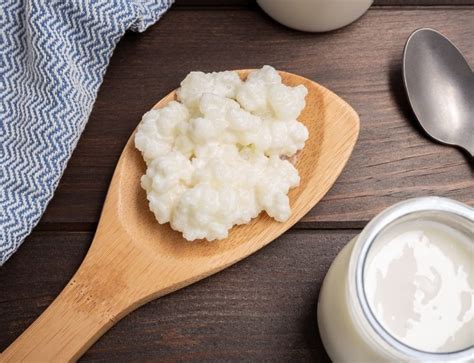 What Are Milk Kefir Grains Revolution Fermentation