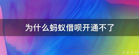 为什么蚂蚁借呗开通不了 业百科