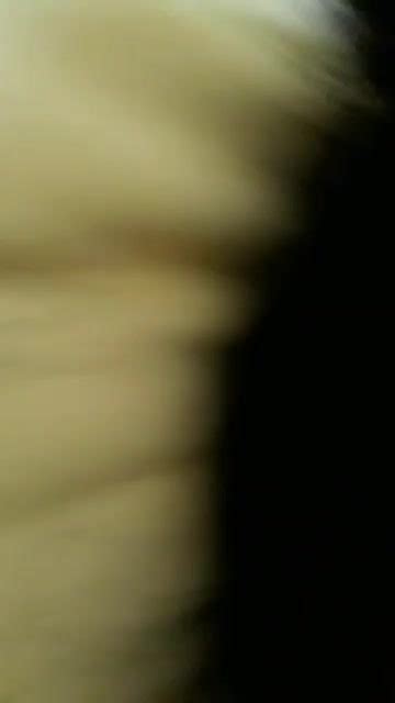 Slutty Slum Dweller Screwing The Bastard Cnn Amador