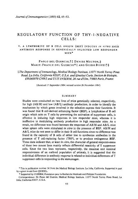 Pdf Regulatory Function Of Thy 1 Negative Cells V A