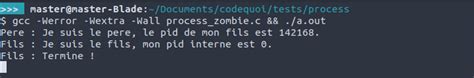 Créer et tuer des processus fils en C codequoi