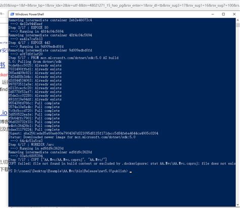 Net 5 部署在docker上运行 董川民