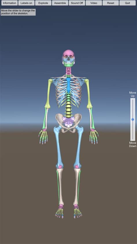 Skeletal System Latest Version 10 For Android
