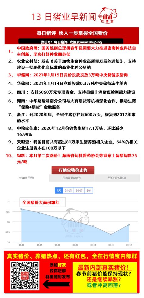中央最新定调今年要重点办好这几件大事坚决打好种业翻身仗农业资讯 农信网