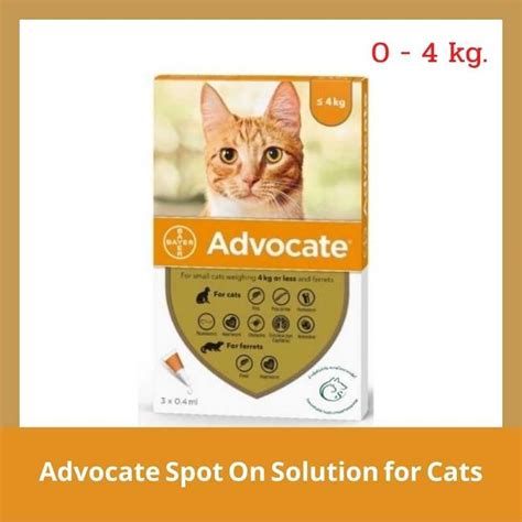 กลอง 3 หลอด Advocate Spot On for small cat up to 4kg บรรจ 0 4 ml