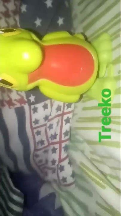 Treeko Youtube
