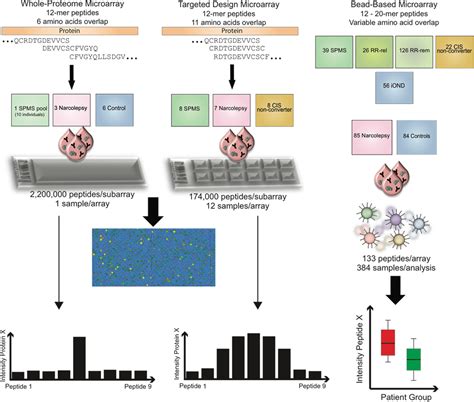 Whole Proteome Peptide Microarrays For Profiling Autoantibody
