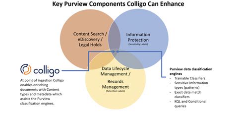 What Is Microsoft Purview And How Colligo Fits In