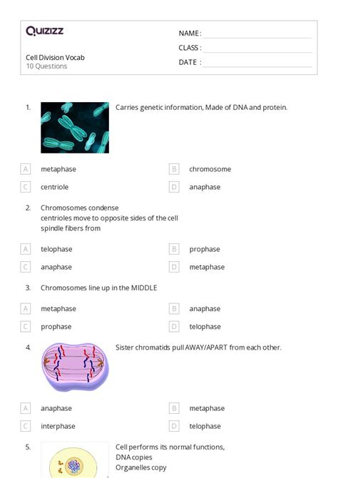 50 Cell Division Worksheets For 10th Class On Quizizz Free And Printable