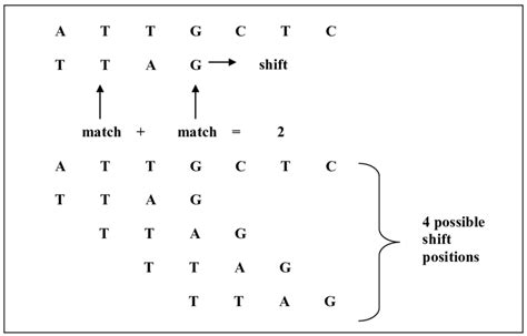scoring a dna sequence with a motif download scientific diagram