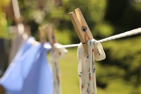 Best Rotary Washing Line Review 2025 Testnreviews