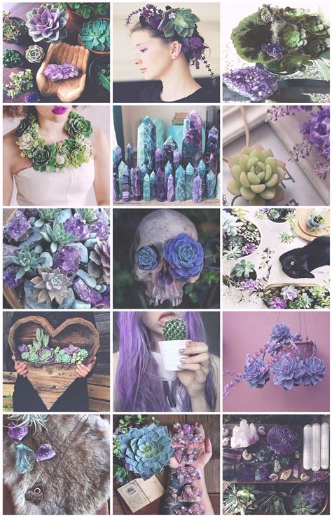 Succulents Witch Aesthetic Witch Aesthetic Purple Aesthetic Witchy