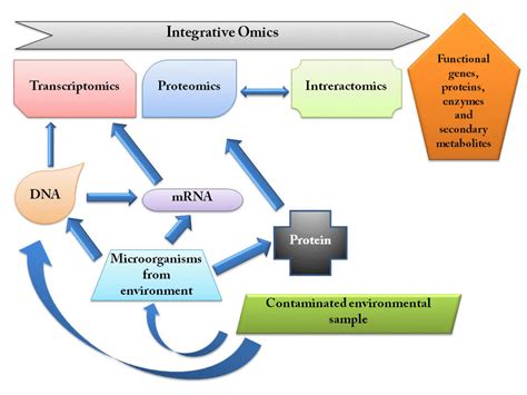 Omic Technologies Using A Systematic Biology Approach To Track The