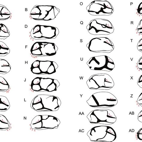 Autonomous Reef Monitoring Structure Arms A Assembled Arms B Arms Download Scientific