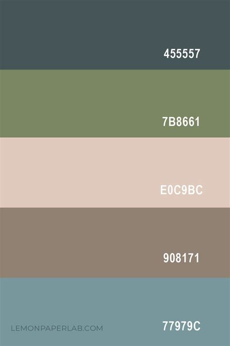 Earth Tones Color Palette With Slate Blue Olive Green And More