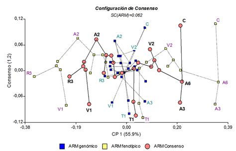 MST Of Original Configurations And Consensus Configuration File Download Scientific Diagram
