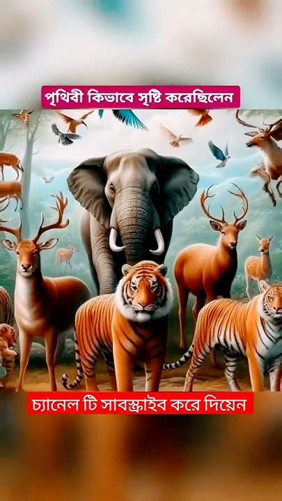 কোন জিনিস আল্লাহ তায়ালা কি বারে কি বারে সৃষ্টি করেছেন🥀🥰 ️viral