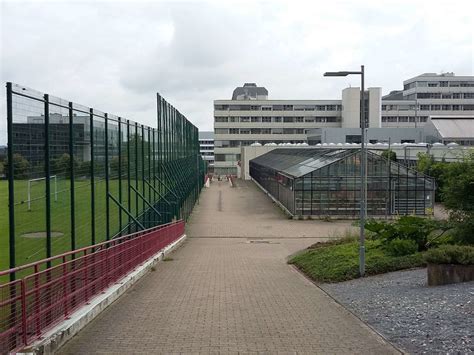 Database Environments The Images Show The Different Environments In Download Scientific