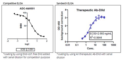 Anti Dxd（exatecan Derivative For Adc）monoclonal Antibody 病理诊断与药物研发